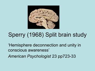 Roger Sperry Split Brain