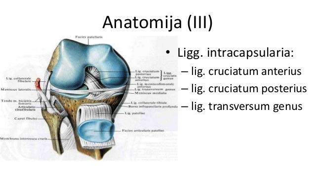 Sāpes ceļa locītavā un sports