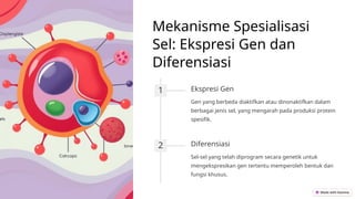 Spesialisasi-Sel-Keragaman-Fungsi-dalam-Organisme.pptx