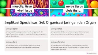 Spesialisasi-Sel-Keragaman-Fungsi-dalam-Organisme.pptx