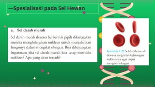 Bab Sel dan Mikroskop bagian Spesialisasi Sel.pptx