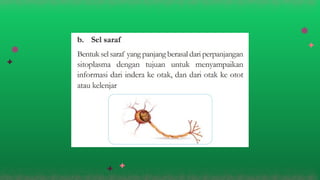 Bab Sel dan Mikroskop bagian Spesialisasi Sel.pptx