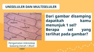 Spesialisasi dan diferensiasi sel pada sel hewan | PPTX