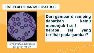 Spesialisasi dan diferensiasi sel pada sel hewan | PPTX