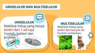 Spesialisasi dan diferensiasi sel pada sel hewan | PPTX