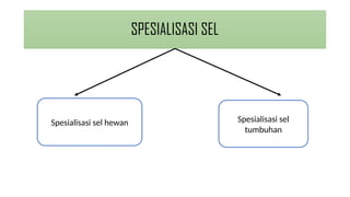 spesialisasi sel pada hewan dan tumbuhan.pptx