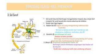 spesialisasi sel pada hewan dan sel pada tumbuhan.pptx