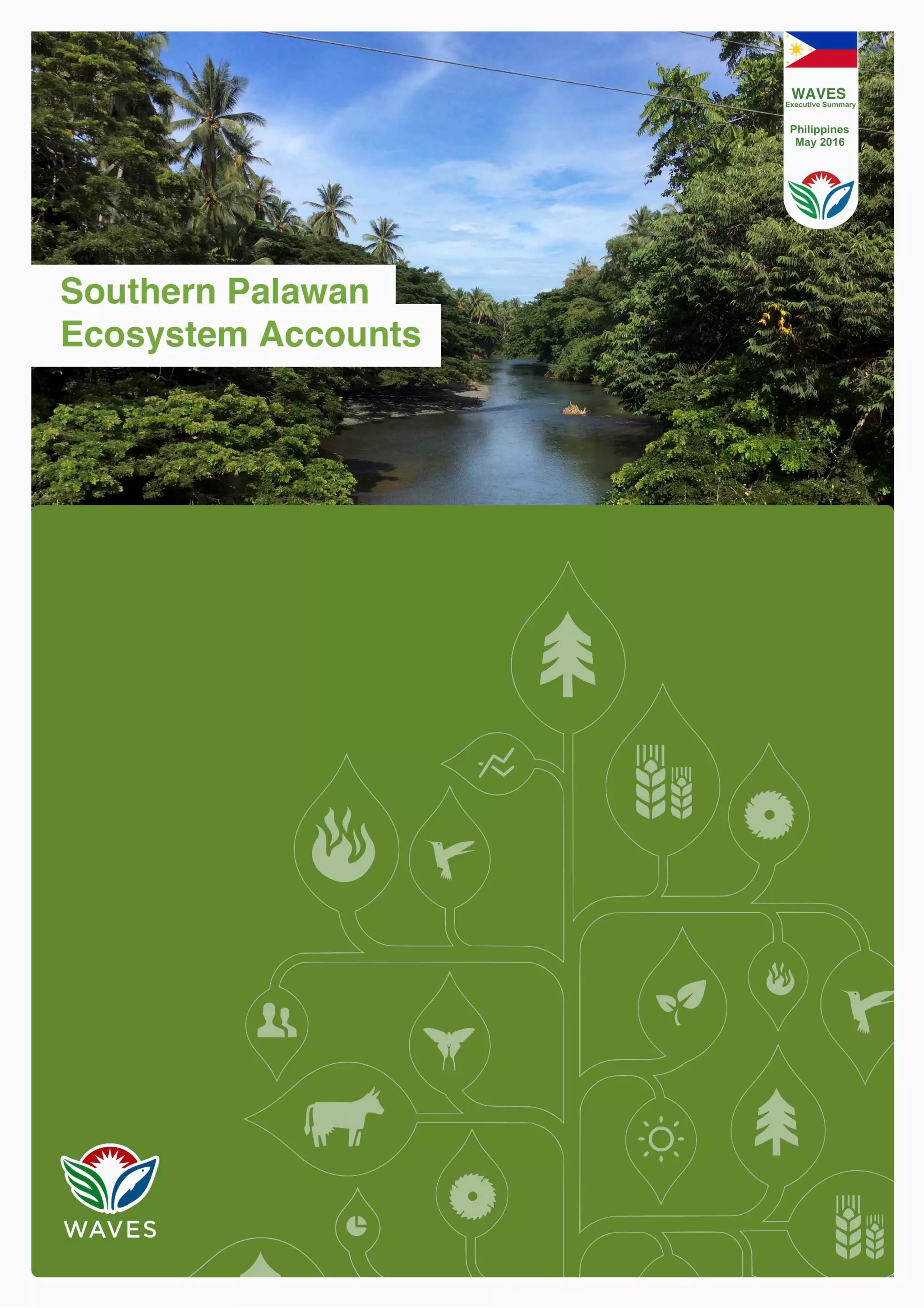 Southern Palawan Ecosystem Accounts | PDF