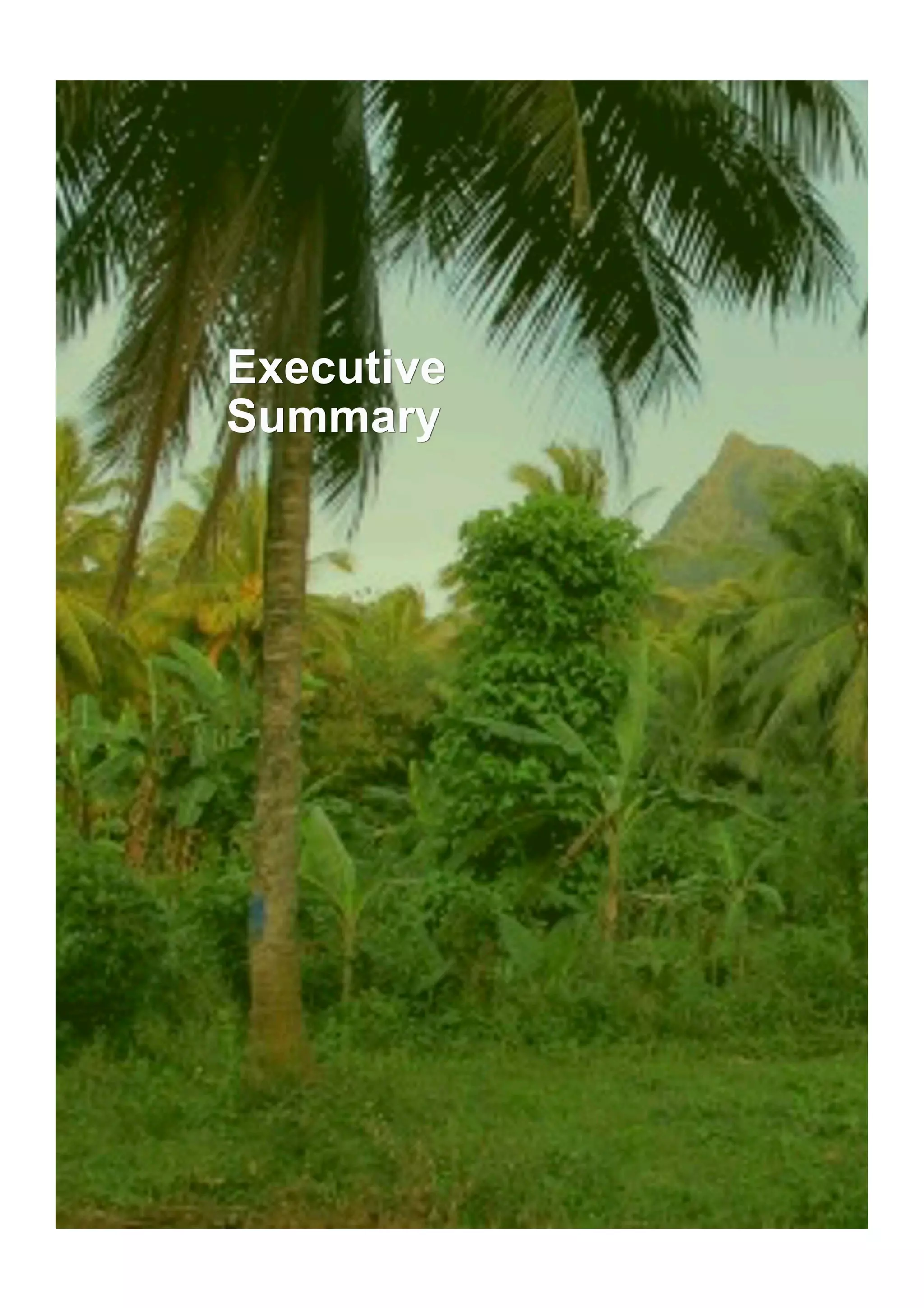 Southern Palawan Ecosystem Accounts | PDF