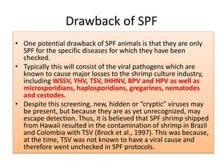 Spf and spr | PPTX