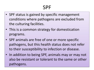 Spf and spr | PPTX
