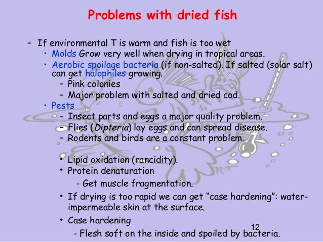 S@P Fish Preservation