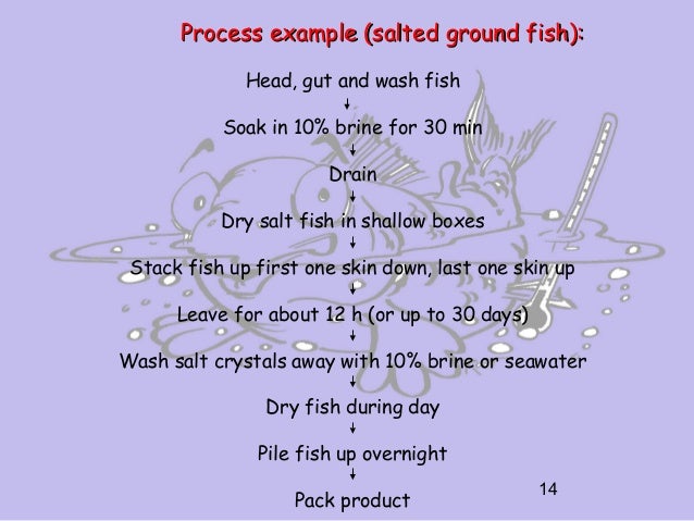 S@P Fish Preservation