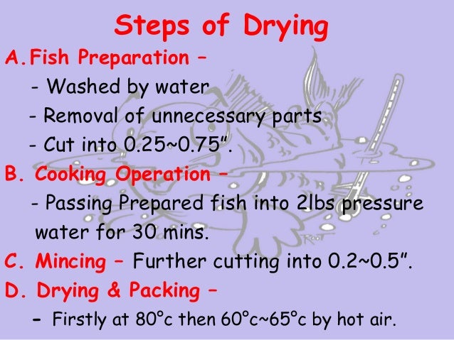 S@P Fish Preservation