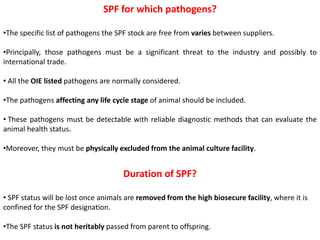 SPECIFIC PATHOGEN FREE ANIMAL | PPTX