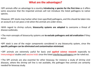 SPECIFIC PATHOGEN FREE ANIMAL | PPTX