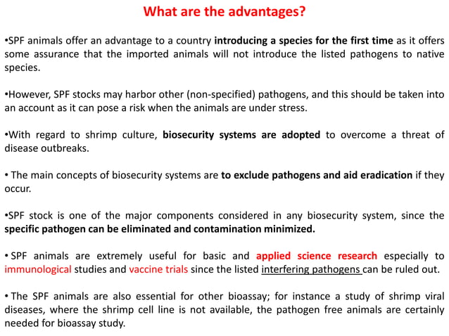 SPECIFIC PATHOGEN FREE ANIMAL | PPTX