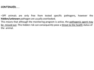SPECIFIC PATHOGEN FREE ANIMAL | PPTX