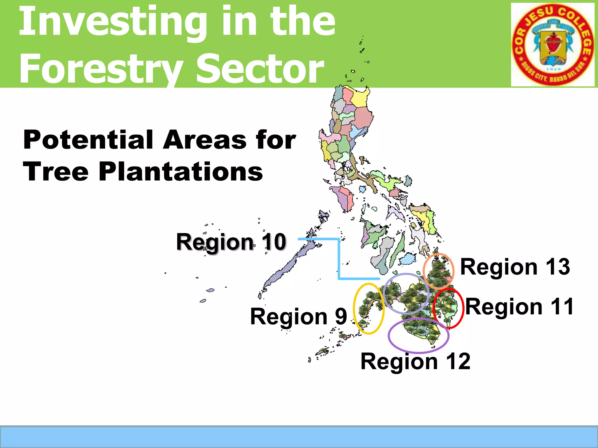 The State of Philippine Environment | PPTX