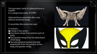sphenoid bone anatomy and clinical anatomy | PPTX
