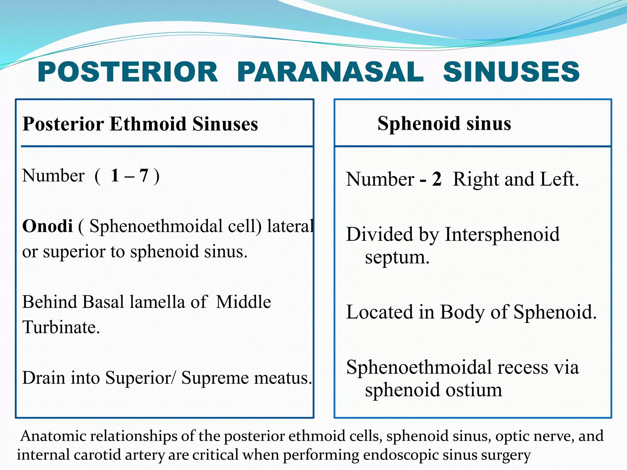 Sphenoid sinus and optic nerve | PPTX