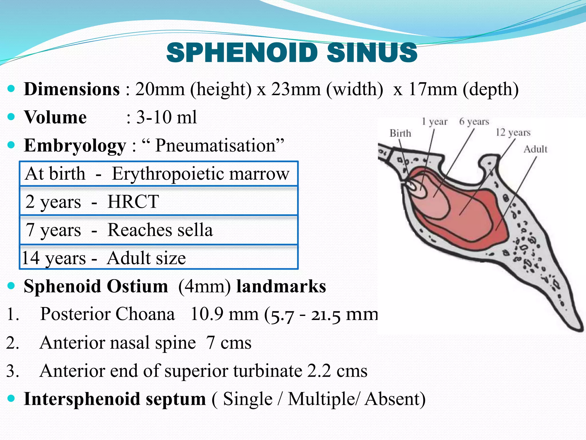 Sphenoid sinus and optic nerve | PPTX | Ear, Nose and Throat Conditions ...