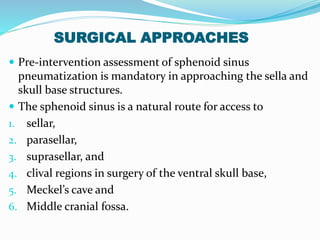 Sphenoid sinus and optic nerve | PPTX