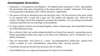 Reproduction In Sphenopsida | PPTX