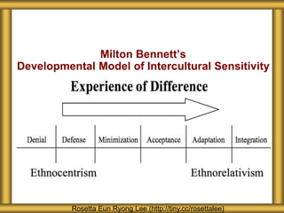 SPHERE Cultural Competency Leadership | PPT