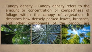 Spherical Densiometer for canopy density measurement | PPTX