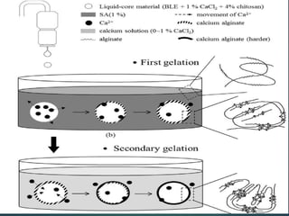 Spherification | PPT
