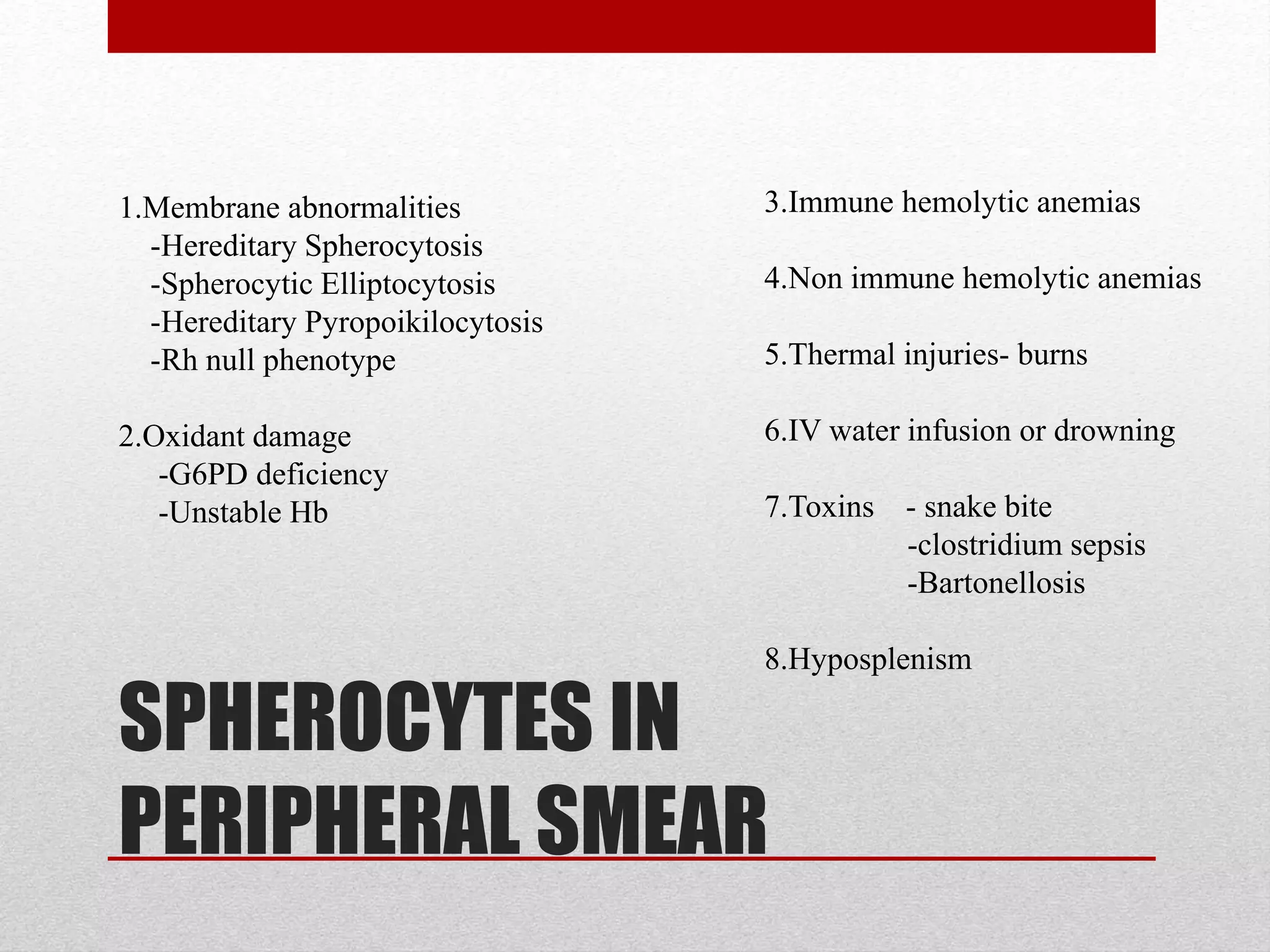 Spherocytes significance and differential diagnosis | PPTX