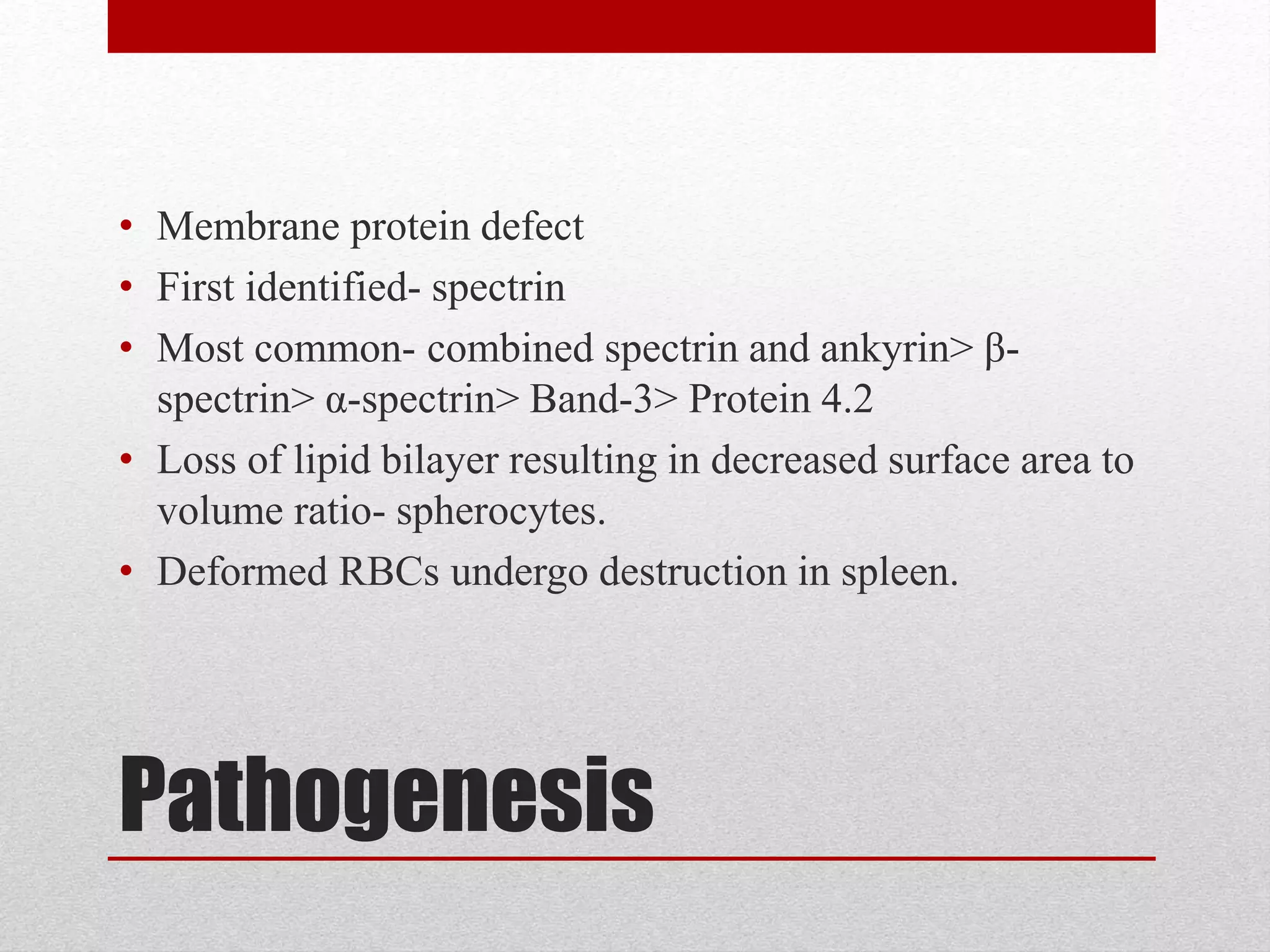 Spherocytes significance and differential diagnosis | PPTX