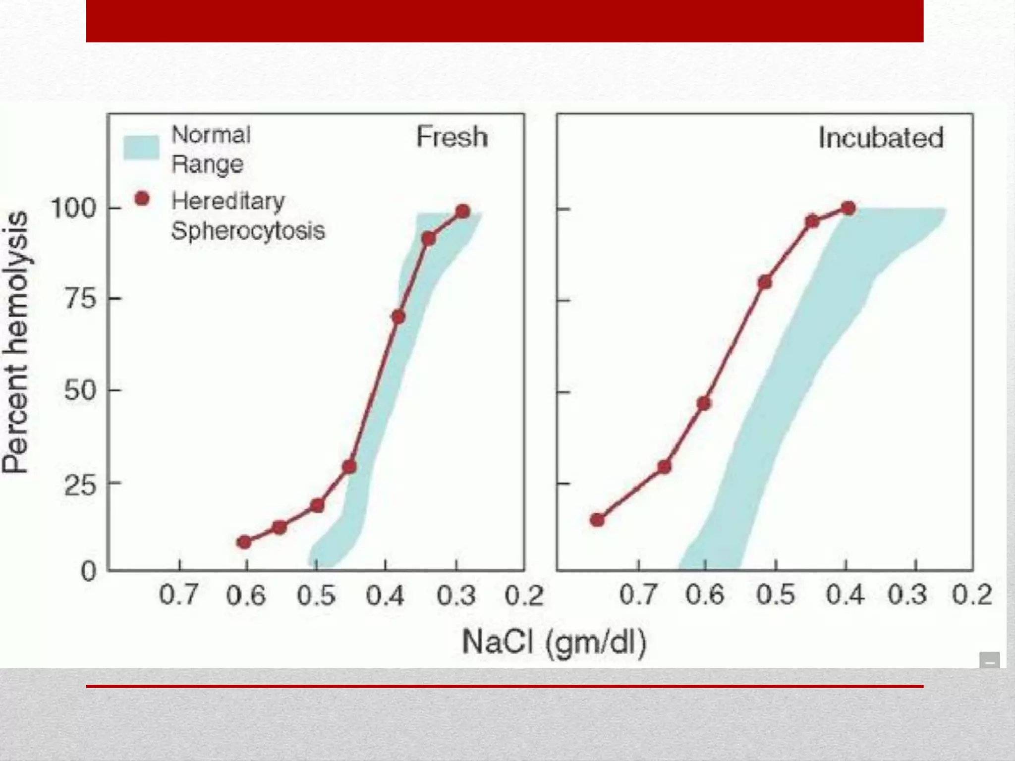 Spherocytes significance and differential diagnosis | PPTX