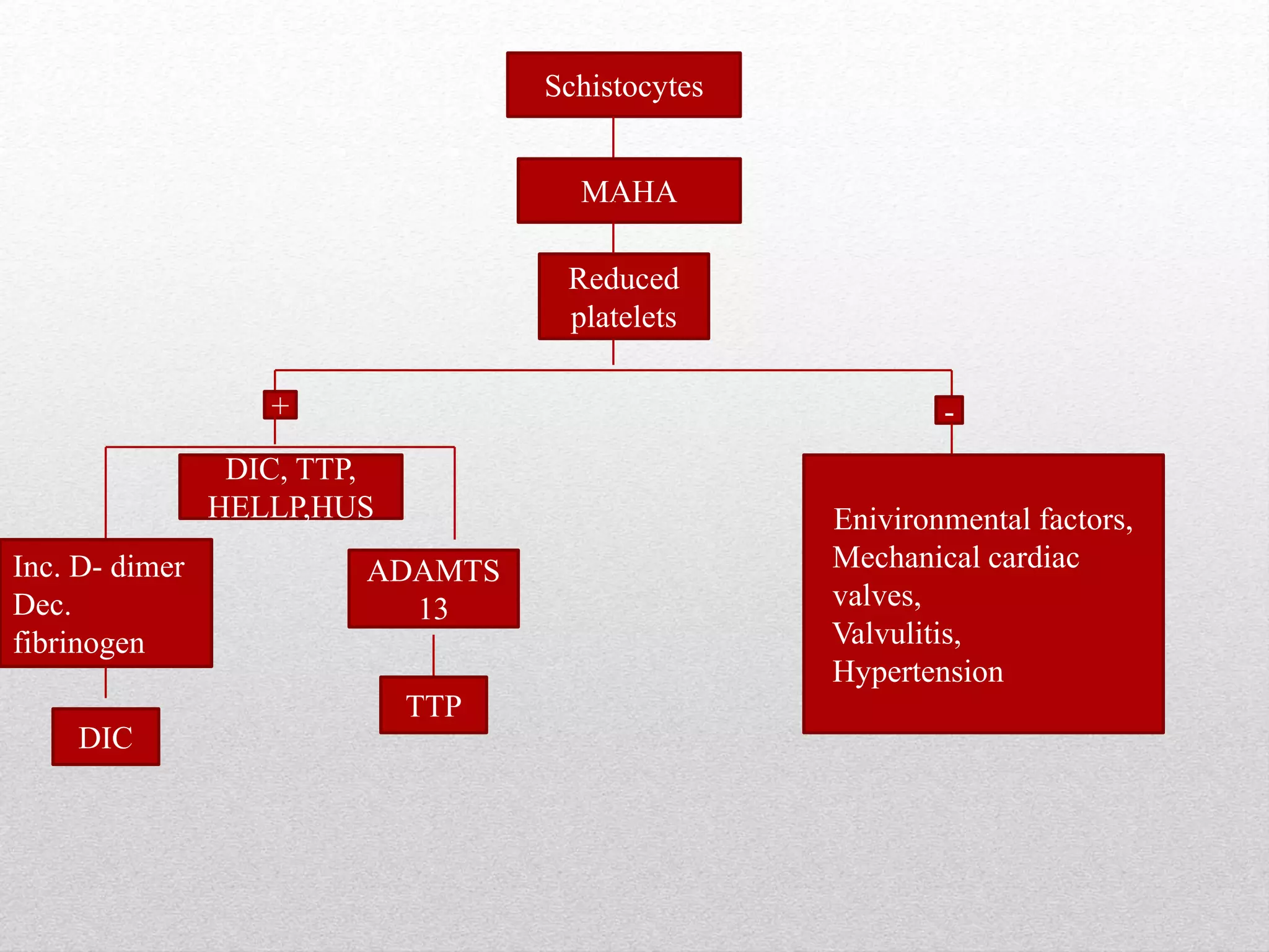 Spherocytes significance and differential diagnosis | PPTX