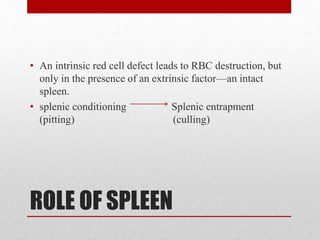 Spherocytes significance and differential diagnosis | PPTX