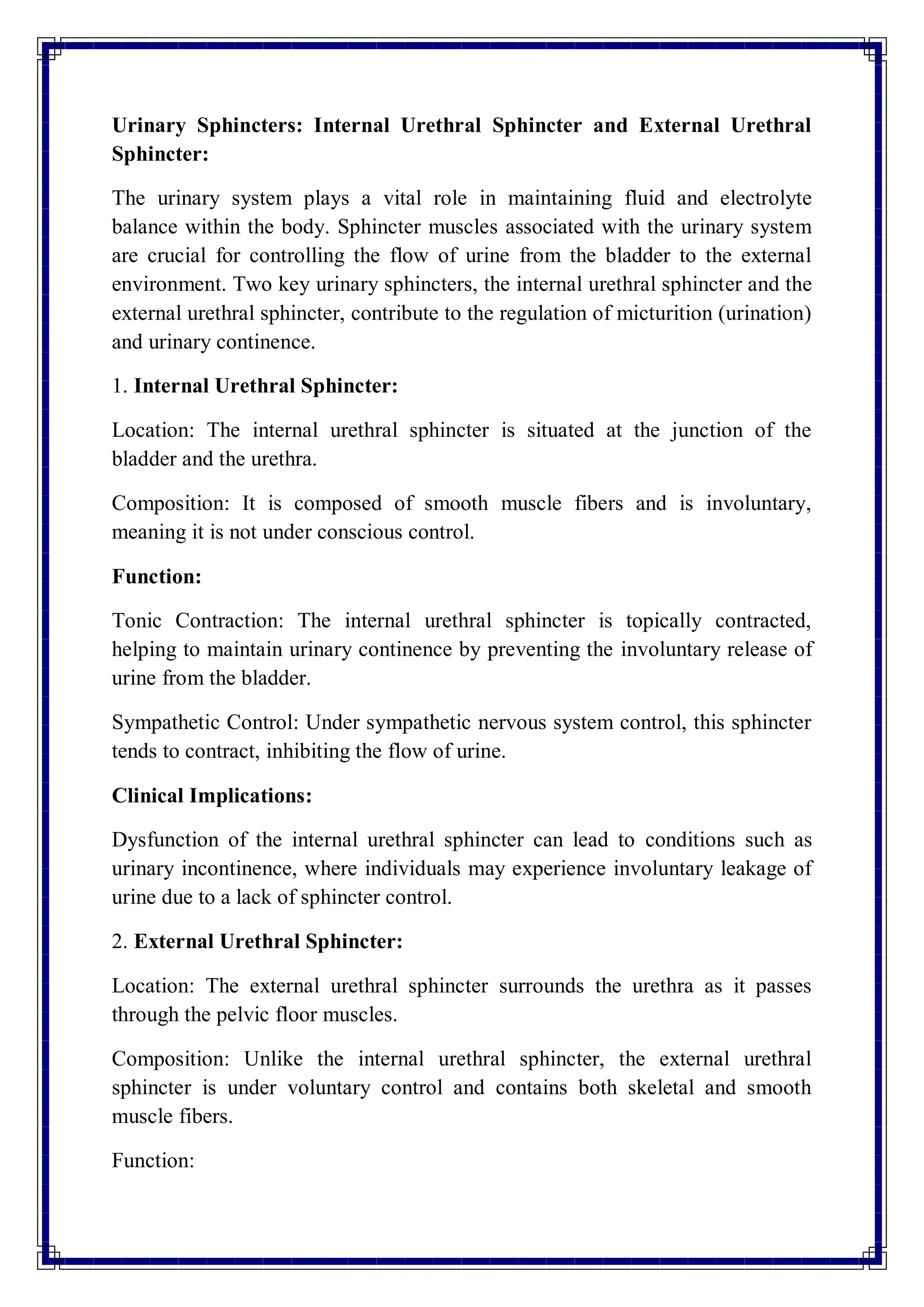 Sphincter Muscles assignment.pdf