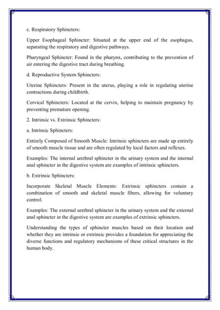 Sphincter Muscles assignment.pdf