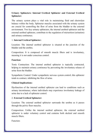 Sphincter Muscles assignment.pdf
