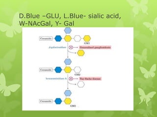Sphingolipidoses | PPTX
