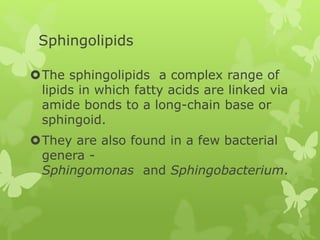 Sphingolipidoses | PPTX | Blood Disorders | Diseases and Conditions
