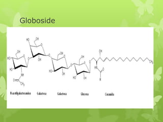 Sphingolipidoses | PPTX