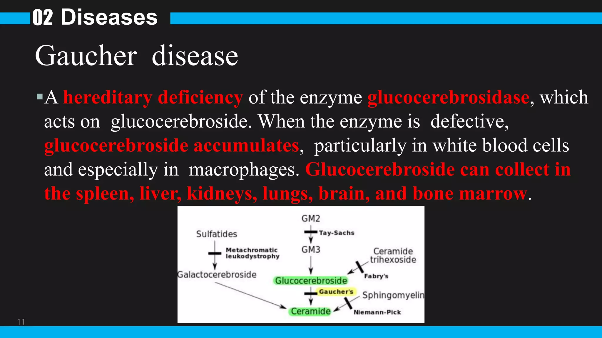 Sphingolipidosis.pptx