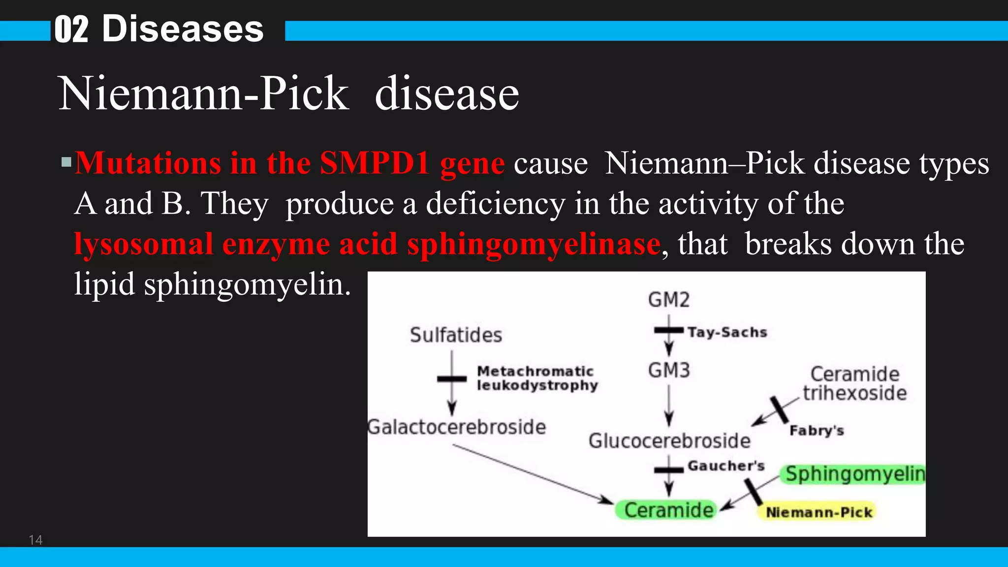 Sphingolipidosis.pptx