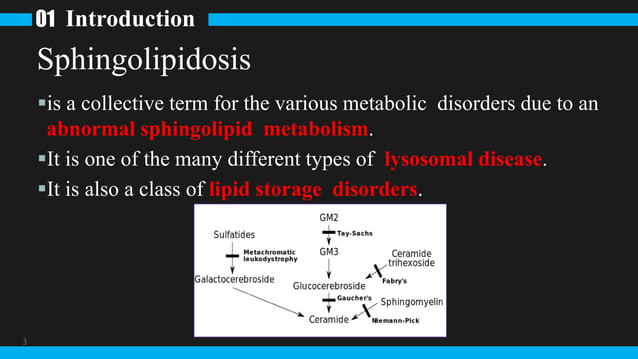 Sphingolipidosis.pptx