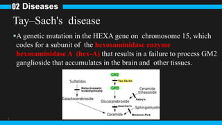 Sphingolipidosis.pptx