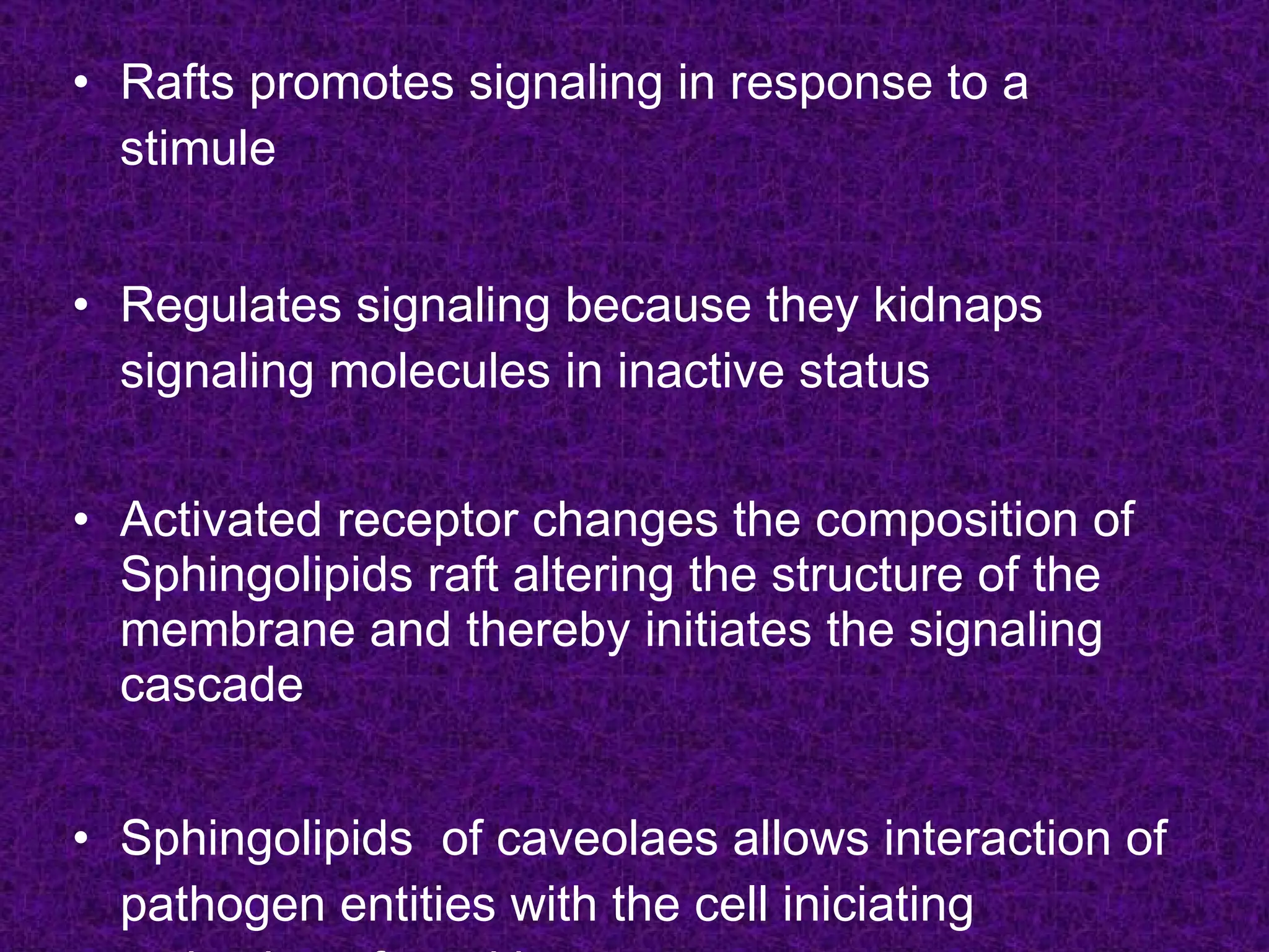 Sphingolipids | PPT