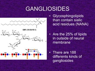 Sphingolipids | PPT