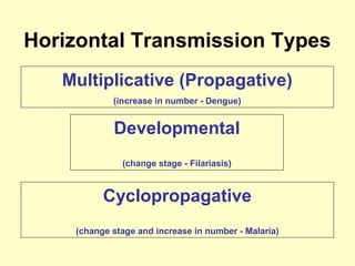 Vector Borne Diseases | PPT