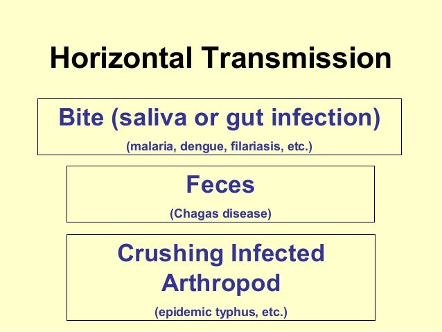 Examples of vector borne transmission - peregym